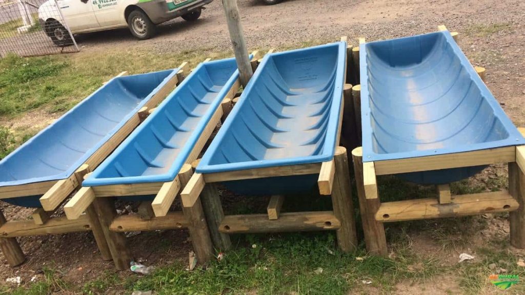 Conheça as aplicações de cocho plástico - Santa Fé Bombonas